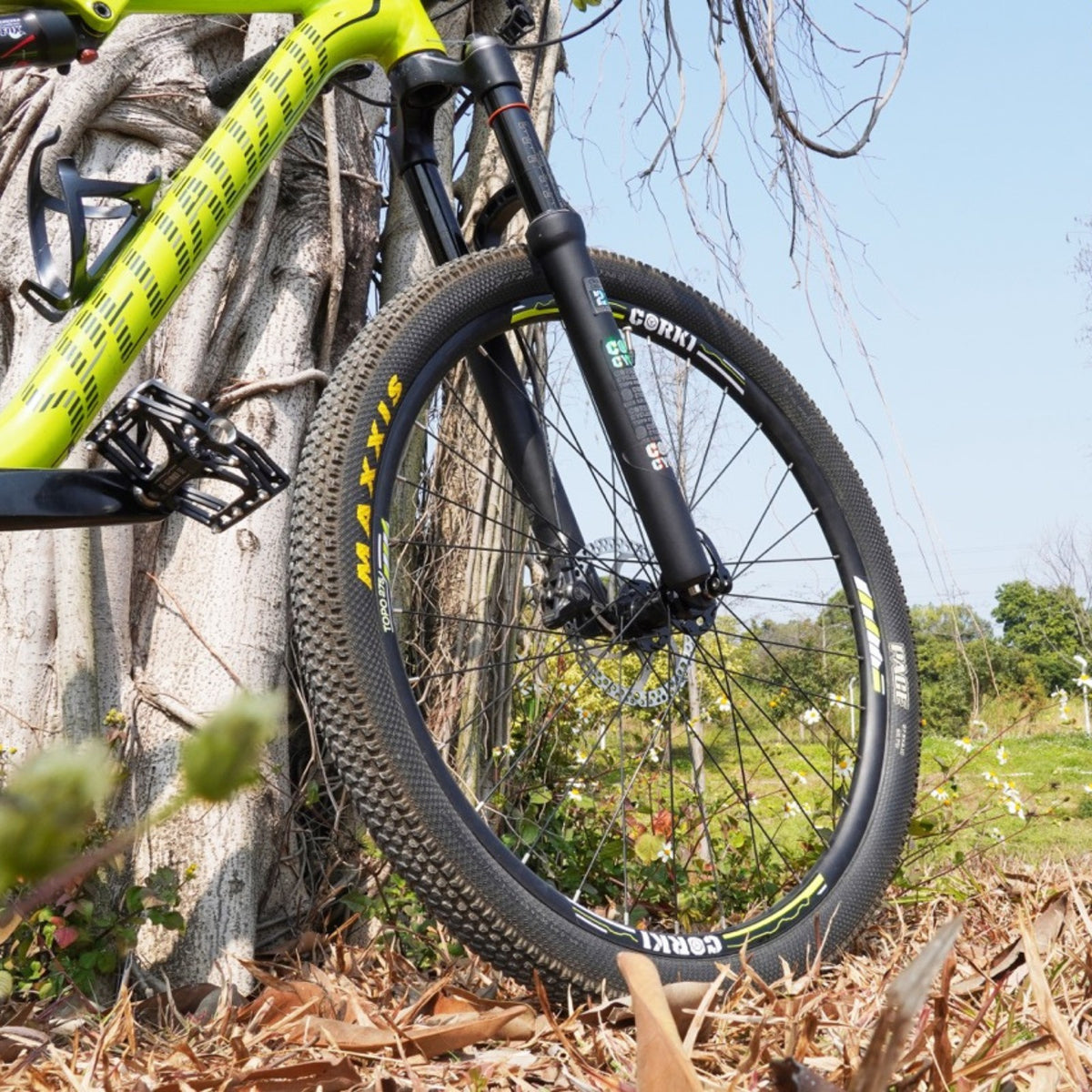 Bicycle Wheels & Complete Road/MTB Wheelsets | Corki Cycles